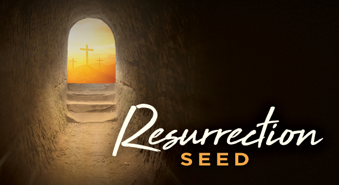 Resurrection Seed - Your Season for Miracles