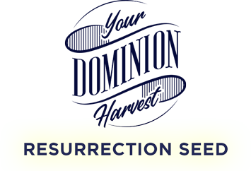 Miracle Testimonies | Resurrection Seed - Your Dominion Harvest