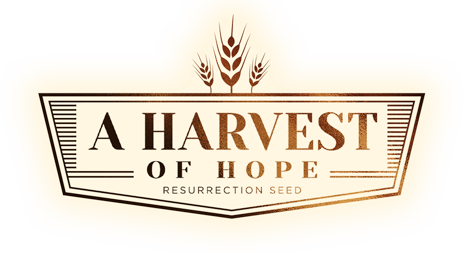 Resurrection Seed - A Harvest of Hope